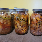 Pressure Canners for Canning | Stainless Steel Dehydrators – Denali Canning